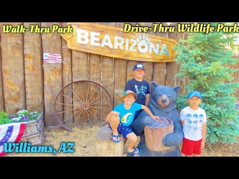 BEARIZONA Drive-Thru Wildlife Park in Williams, Arizona | Walk-Thru ...