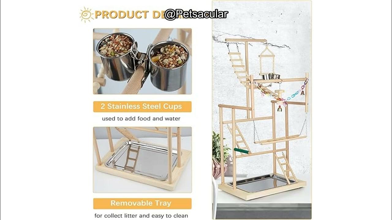 Pet Parrot Playstand Review: Is This 4-Layer Playground Worth the ...
