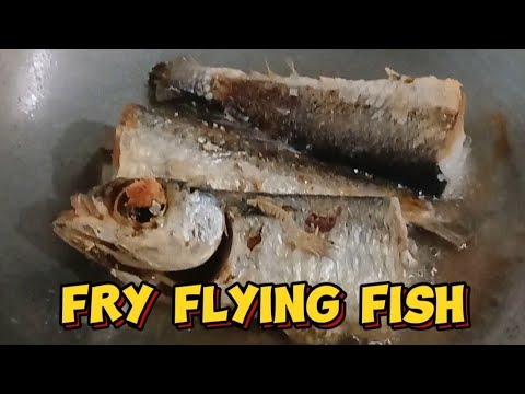 FRY FLYING FISH - YouTube