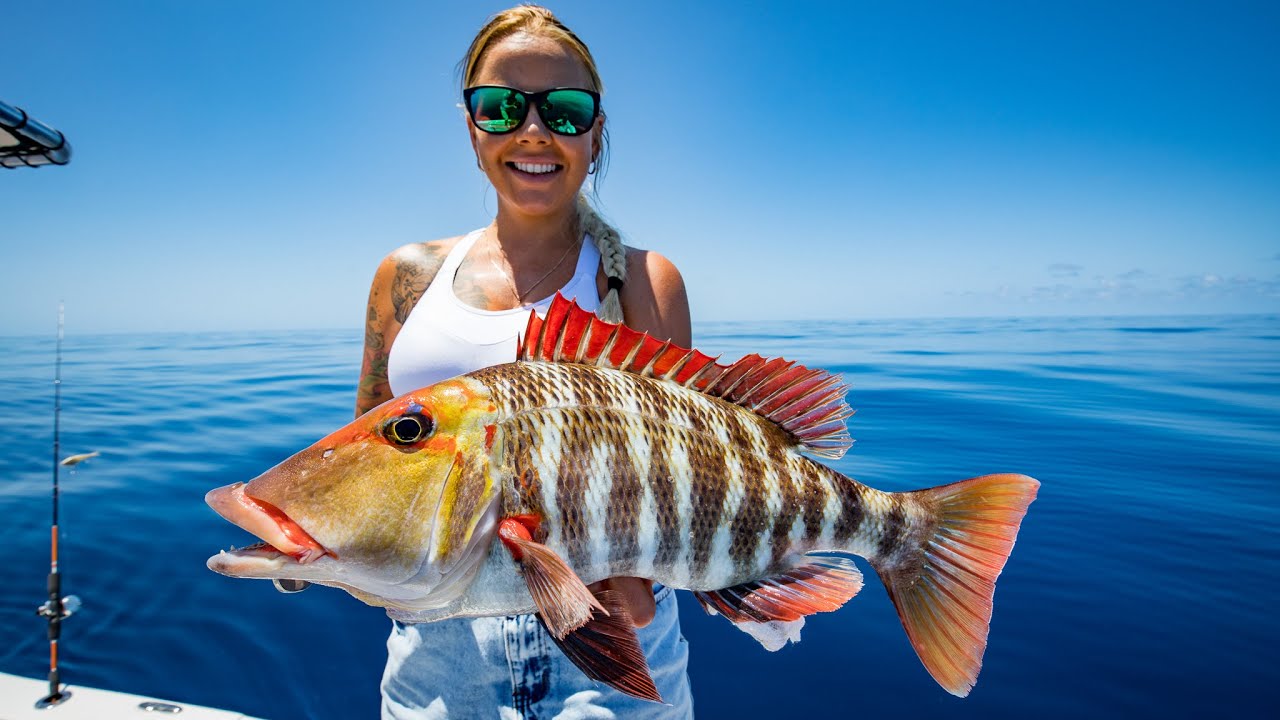 First Reef Fishing Trip Off Gladstone - YouTube