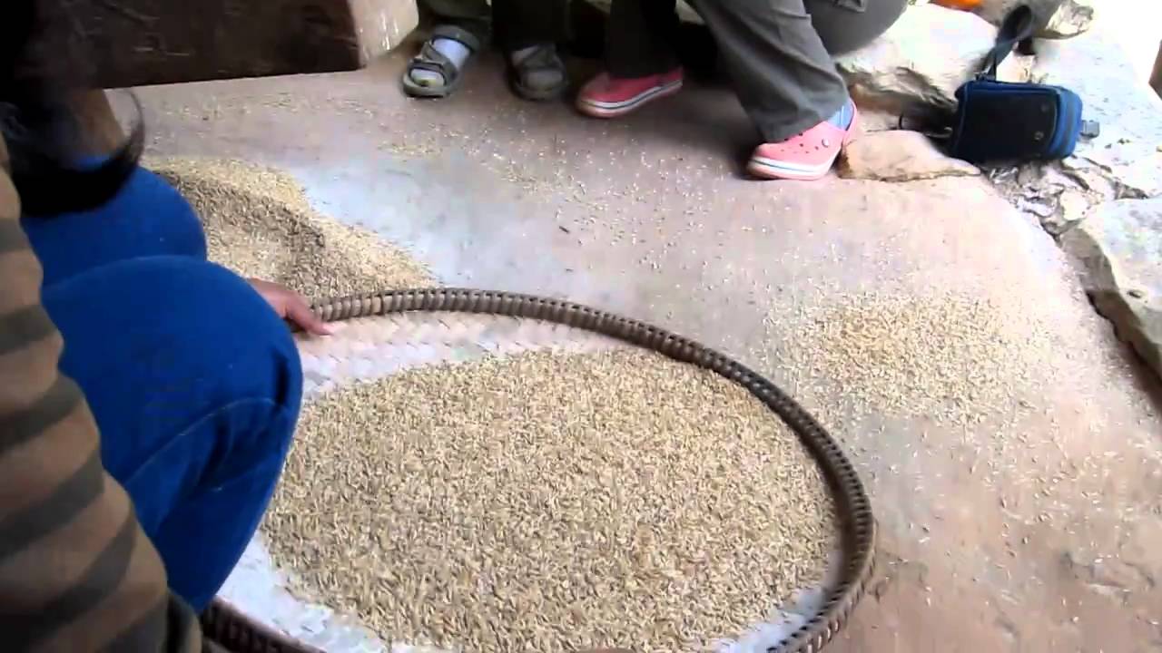 Kusum removing the rice husks - YouTube