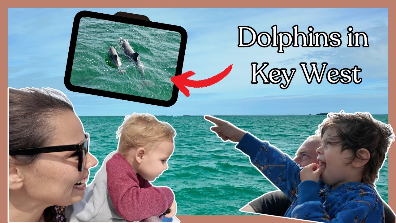 A Magical Christmas Eve in Key West: Dolphins, Snorkeling & Festive Fun ...
