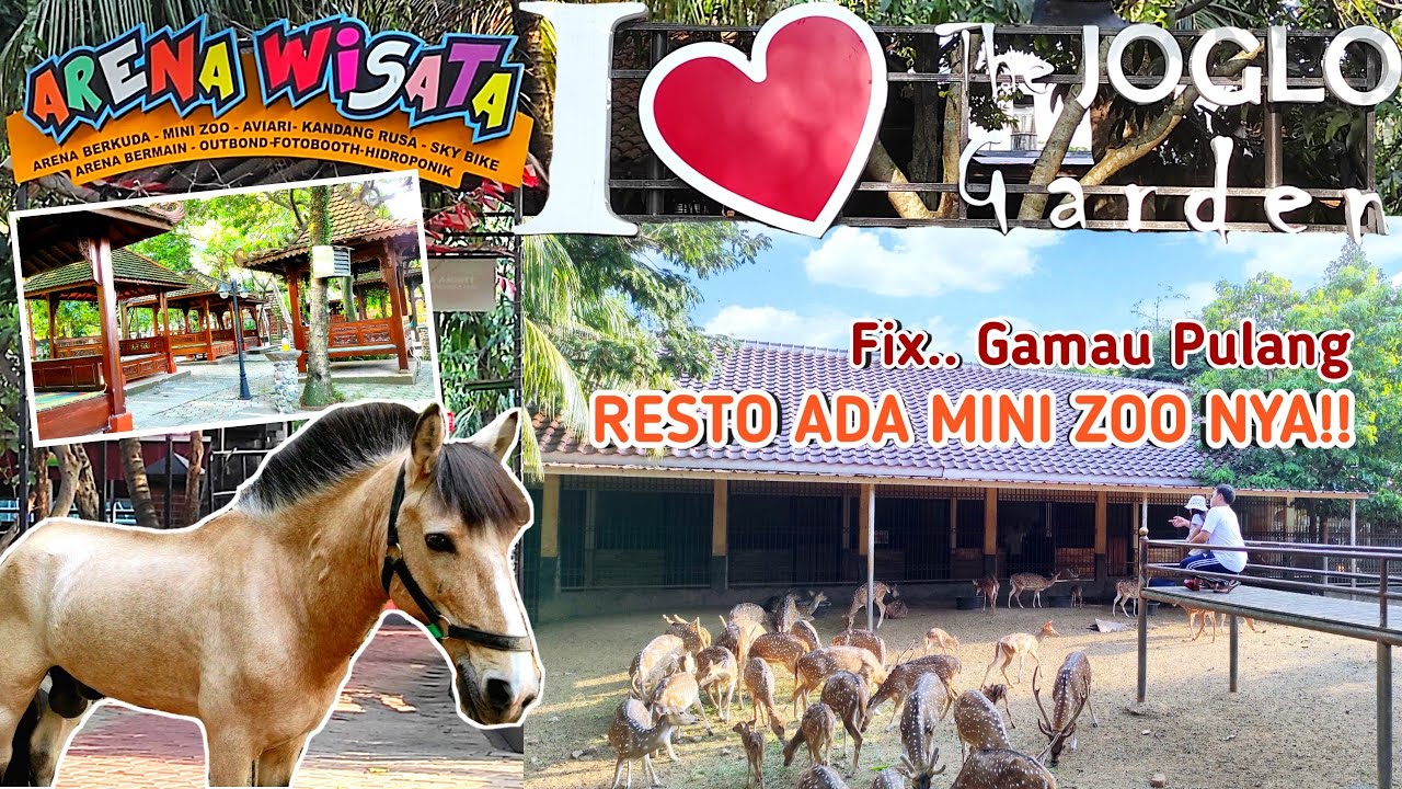 TEMPAT WISATA KELUARGA MURAH DI BEKASI 2022 | MINI ZOO DI BEKASI | THE ...