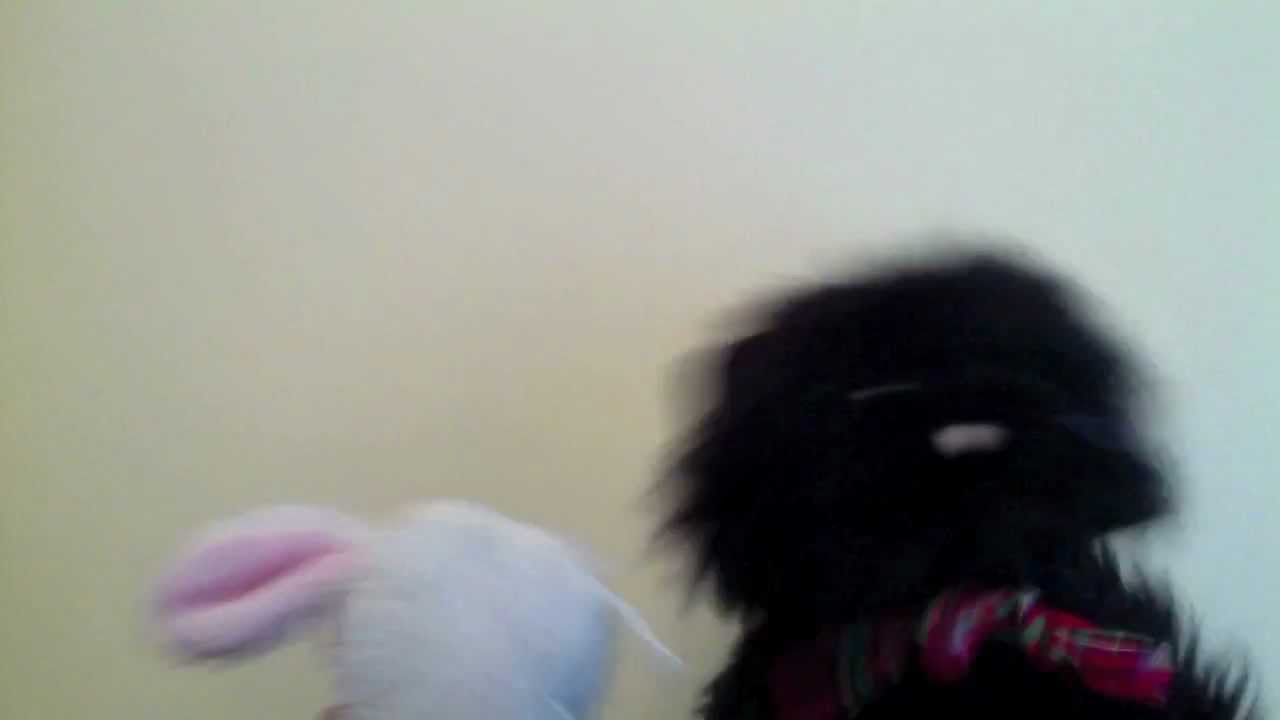 Rosemary and Mr. Meow Meow - YouTube