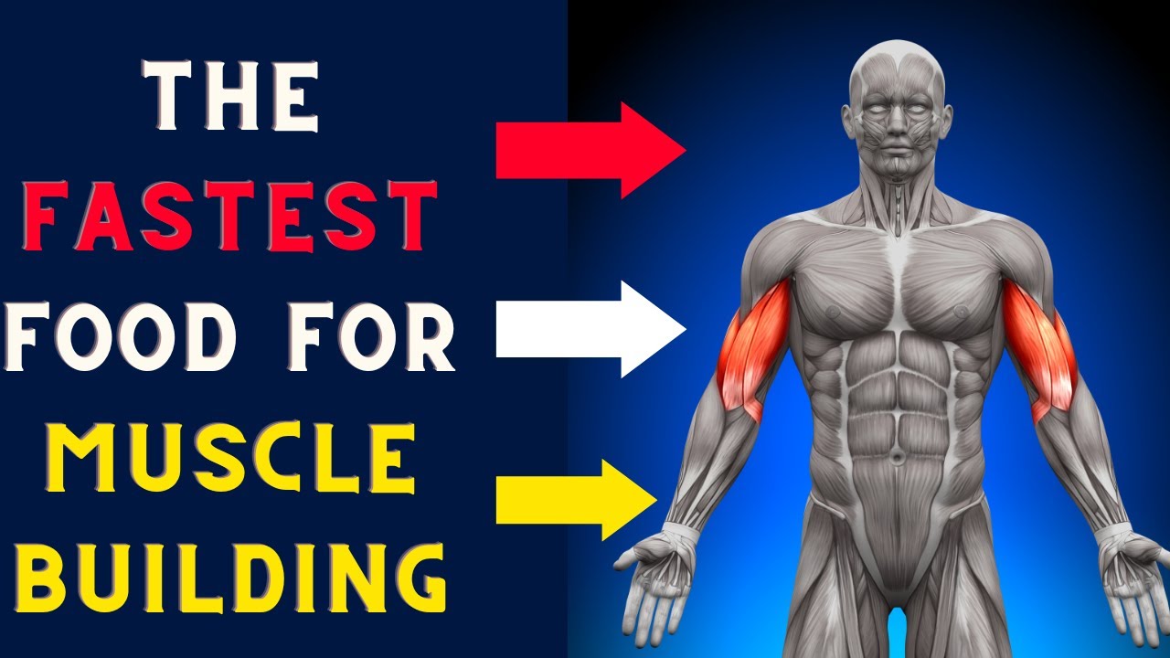 10 Best Foods For Muscle Building and Strength - YouTube