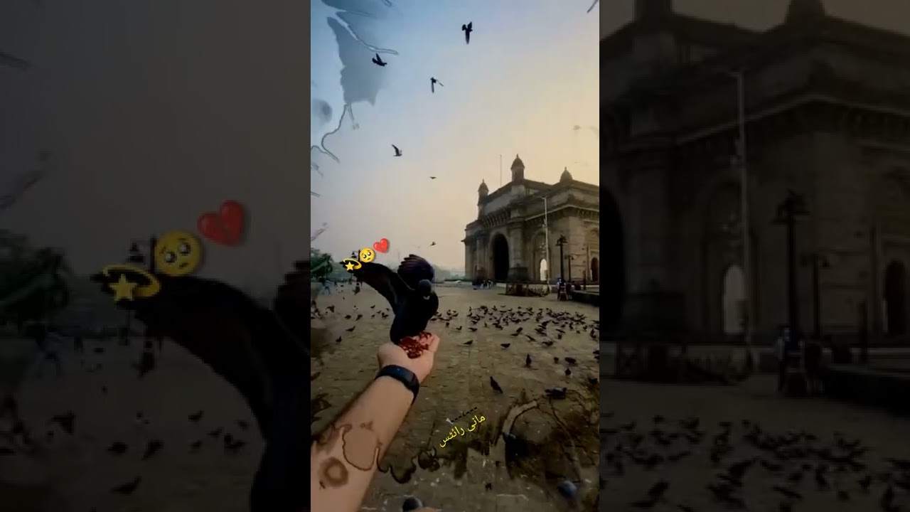 very Saad boy feel - YouTube