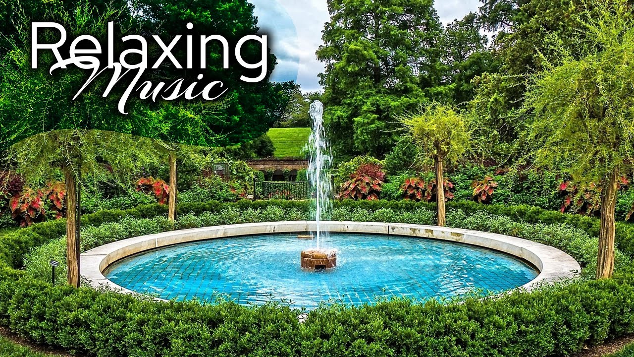 Relax and Unwind with Soothing Nature Sounds and Calming Background ...