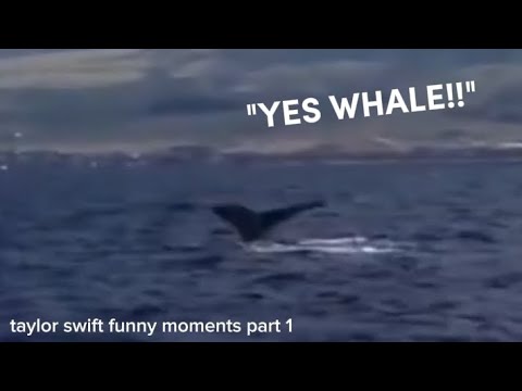 YES WHALE!! - funny moments - YouTube