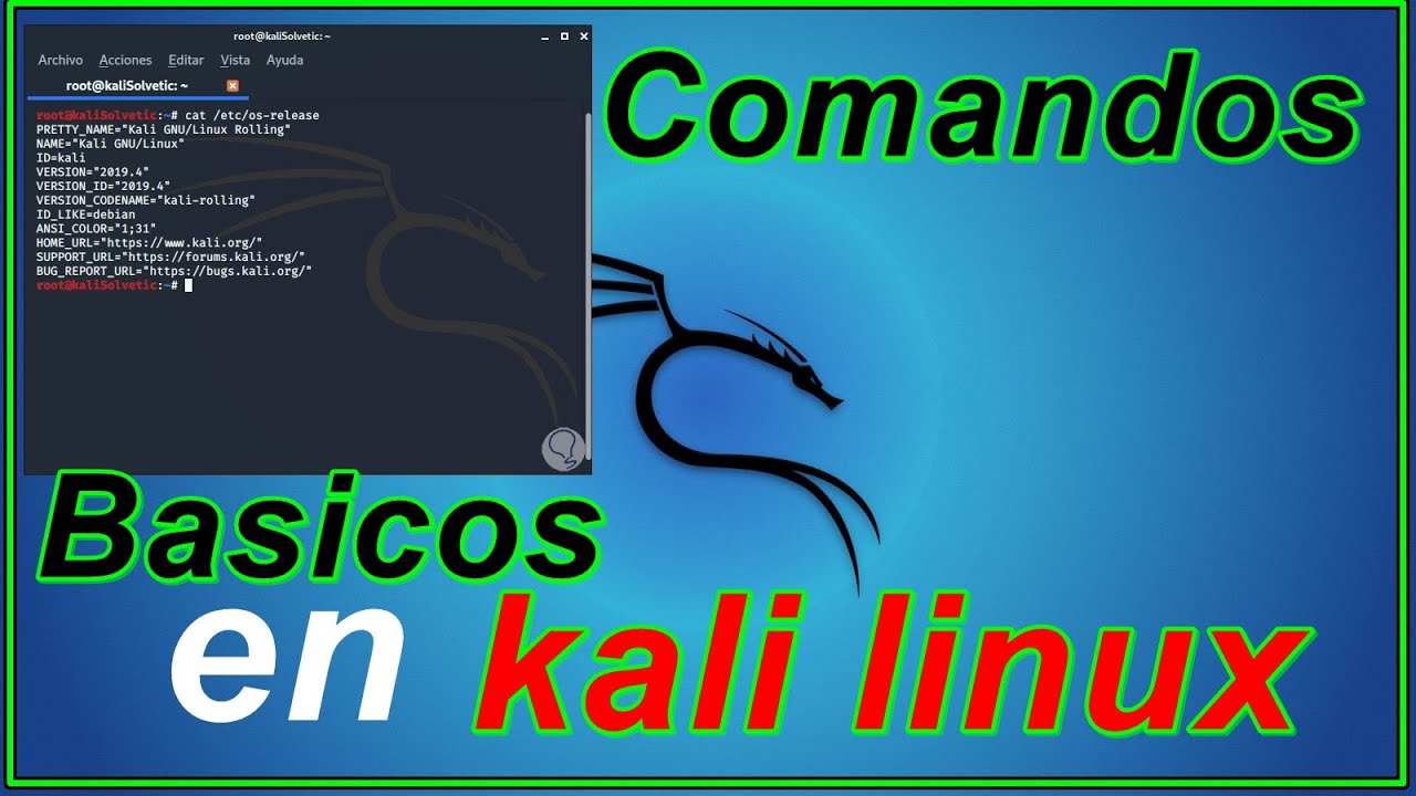 Comandos Básicos en Kali Linux || S.O 2022 - YouTube
