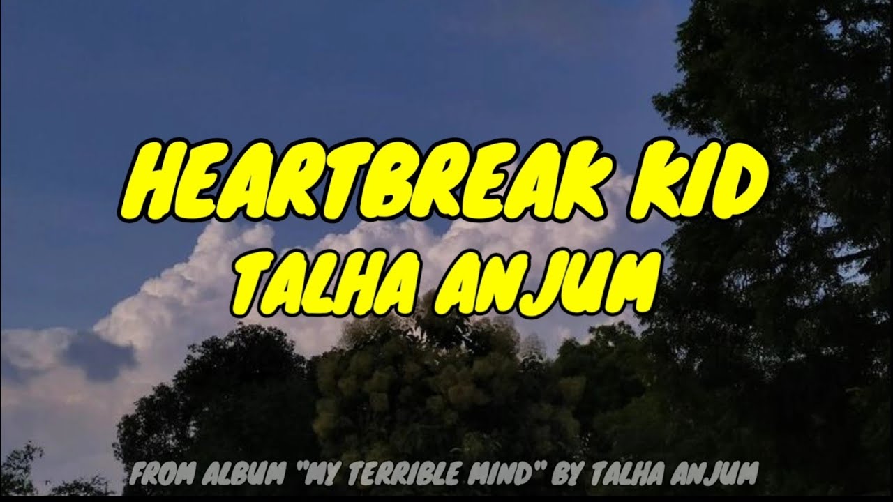 Talha Anjum - Heartbreak Kid (Lyrics) | My Terrible Mind - YouTube