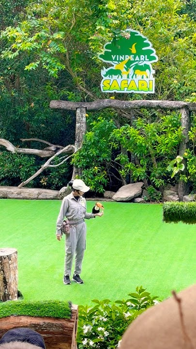 Wow - Chim có mỏ cứng thứ 2 thế giới #phuquoc #safari #safariphuquoc - YouTube