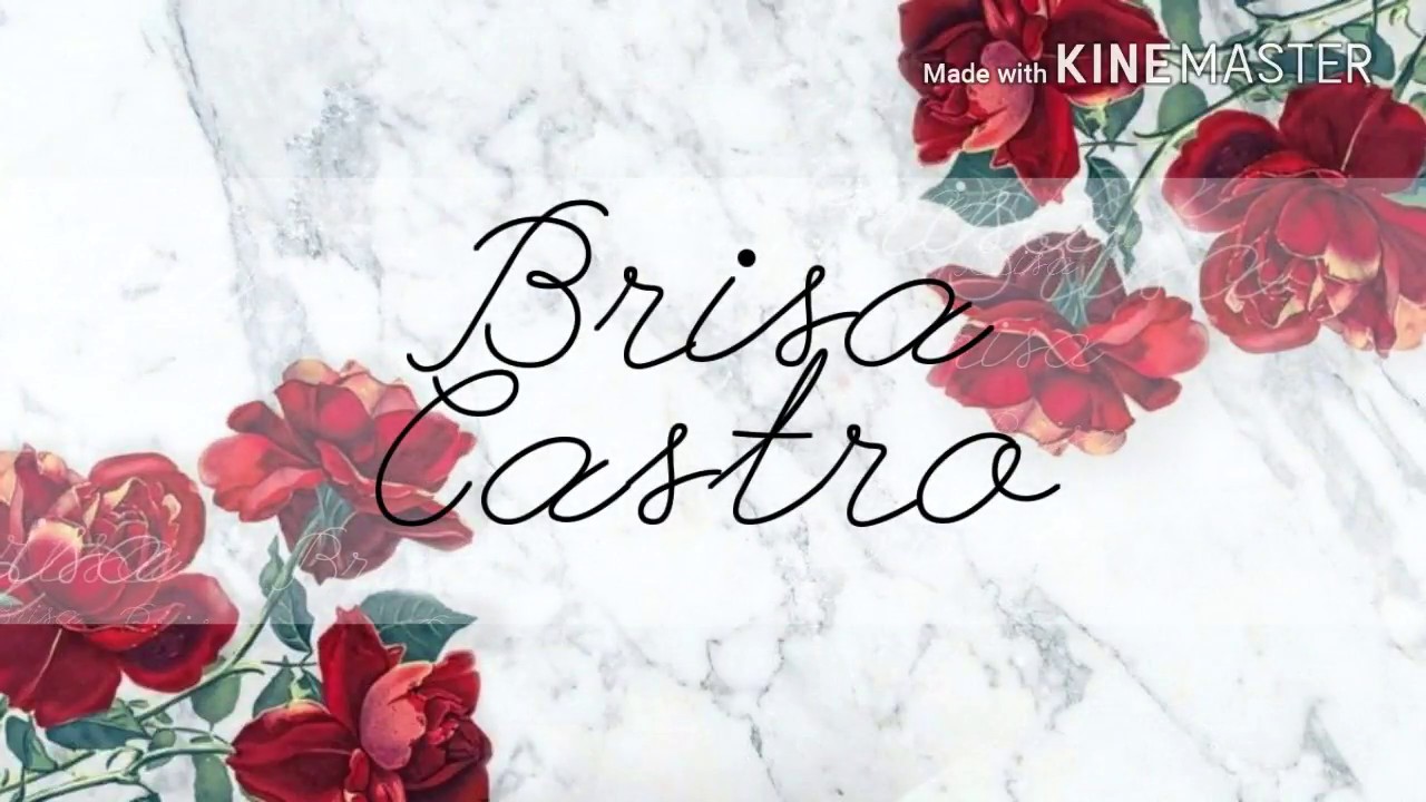 Días que voy a subir vídeos!!!!/Brisa Castro - YouTube