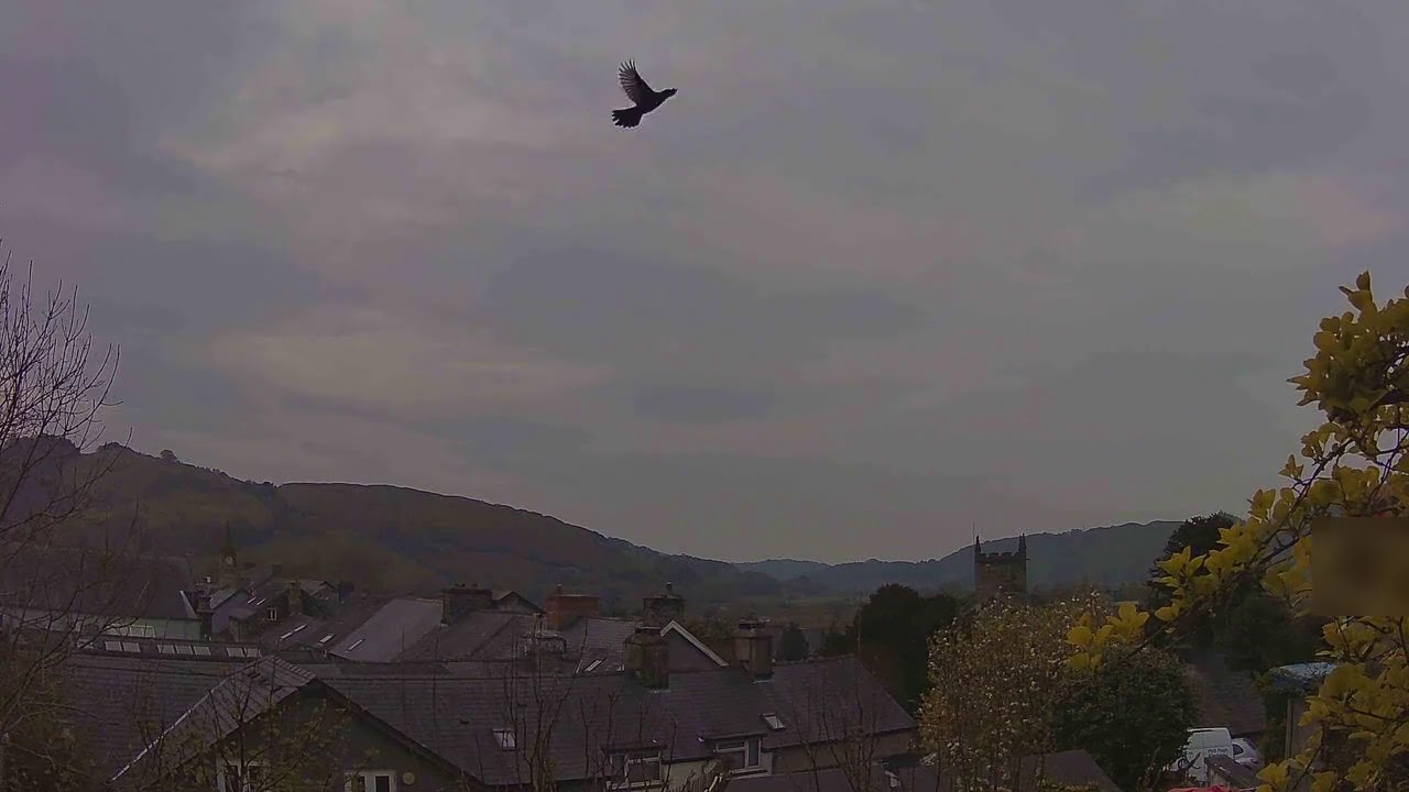 Machynlleth Weather - Monday 2019-04-15 - YouTube