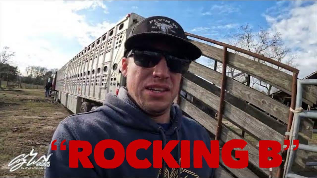 Rocking B Fighting Bulls - Behind the chutes #100 - YouTube