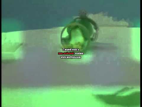 LordofDisasters1: Pingu's TV Channels