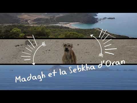 Sebkha d'Oran et Madagh - YouTube