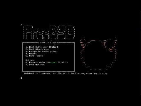 Ковыряем старый NAS сервер на FreeBSD. - YouTube