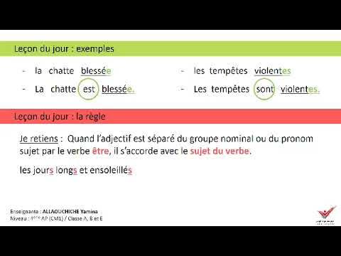 Orthograhe / L'accord de l'adjectif placé aprés le verbe etre - YouTube