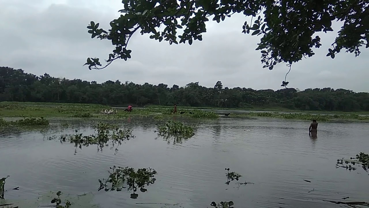 sagoler nodi pari - YouTube