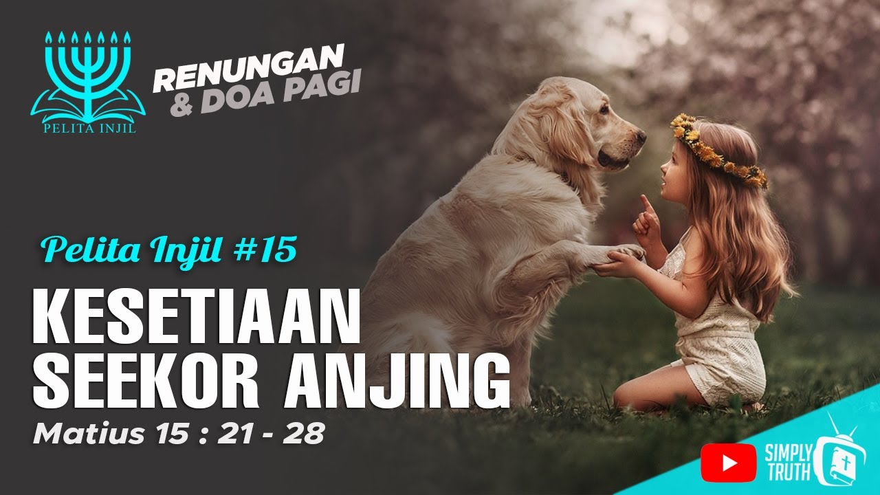 KESETIAAN SEEKOR ANJING / Matius 15 : 21 - 28 / Renungan Doa Pagi ...