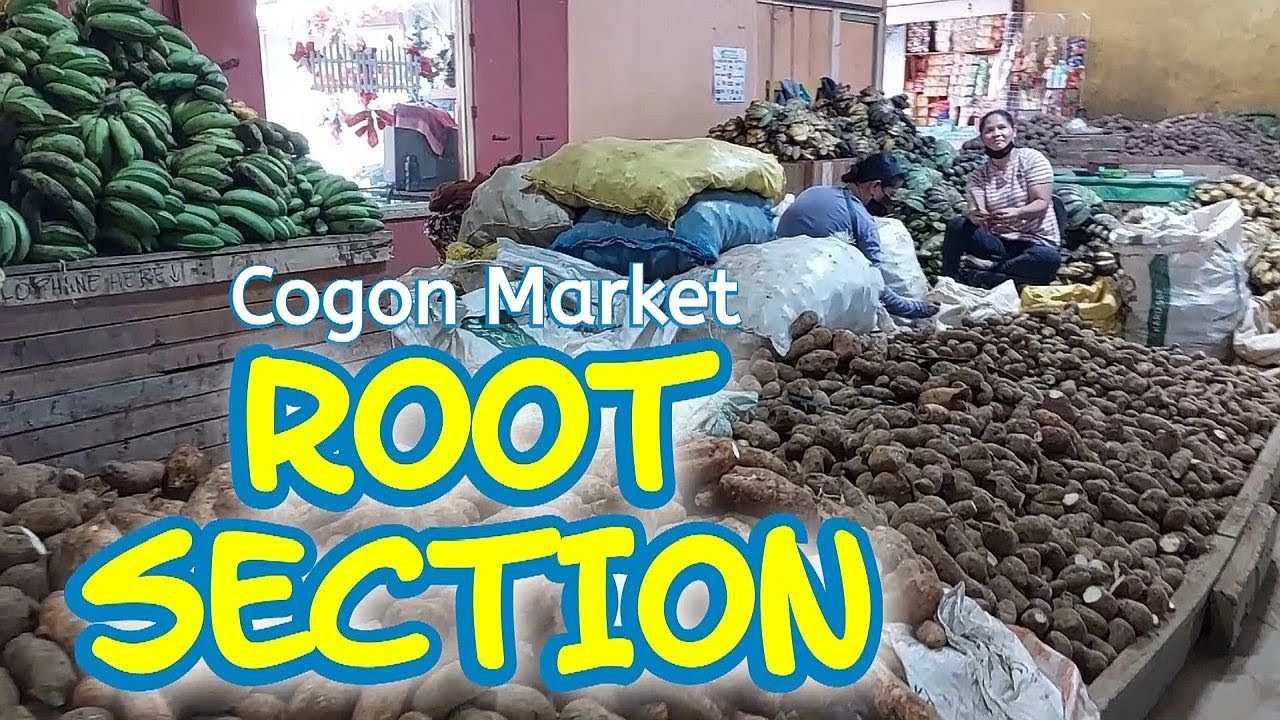 ROOT SECTION Cogon Market - YouTube