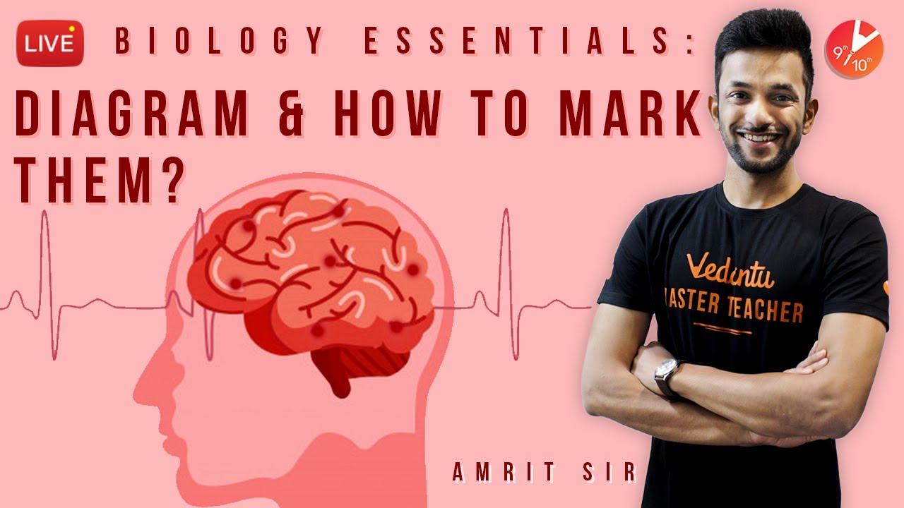 Biology Essentials: Important Diagrams Of Biology & How to Mark Them ...