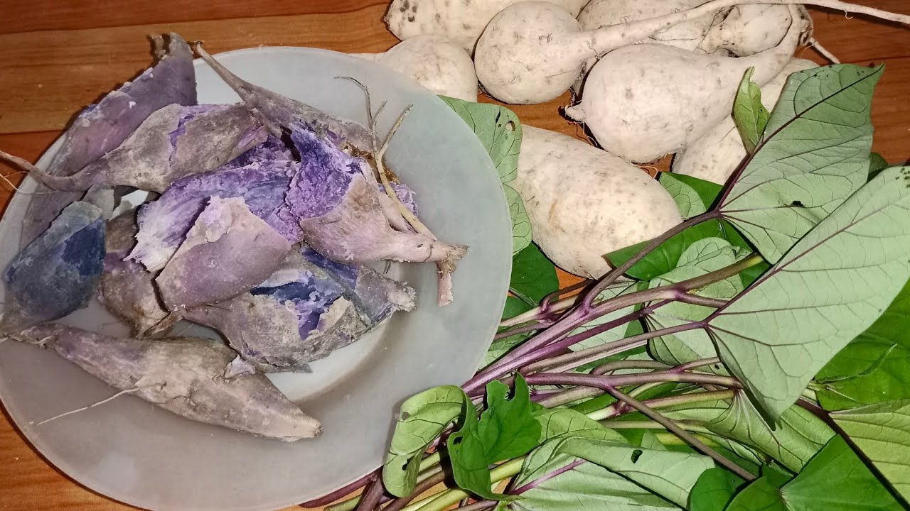 How to plant camote?From start to Harvest!Sipag at Tyaga Ang Puhonan ...