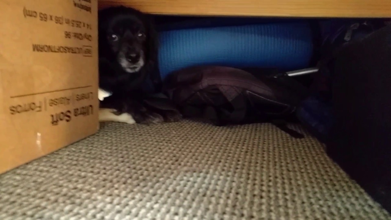 Where's Johnny? - YouTube