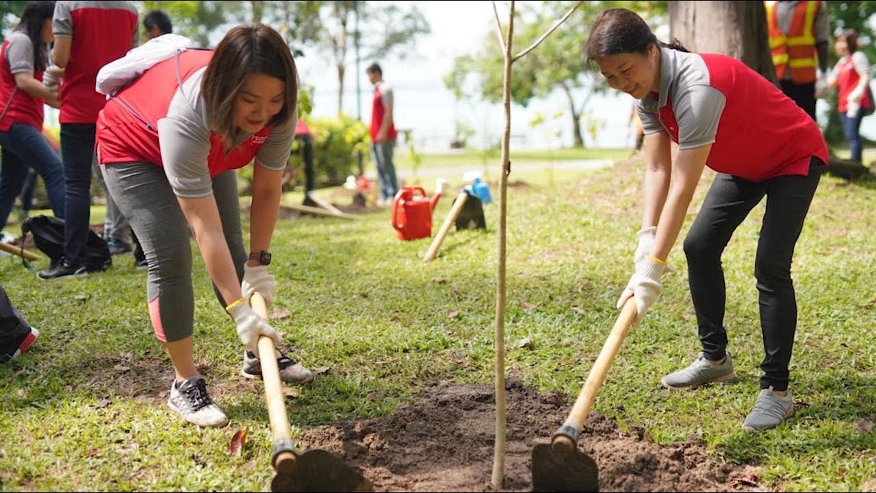 Keppel’s Tree Planting in Labrador Park - YouTube