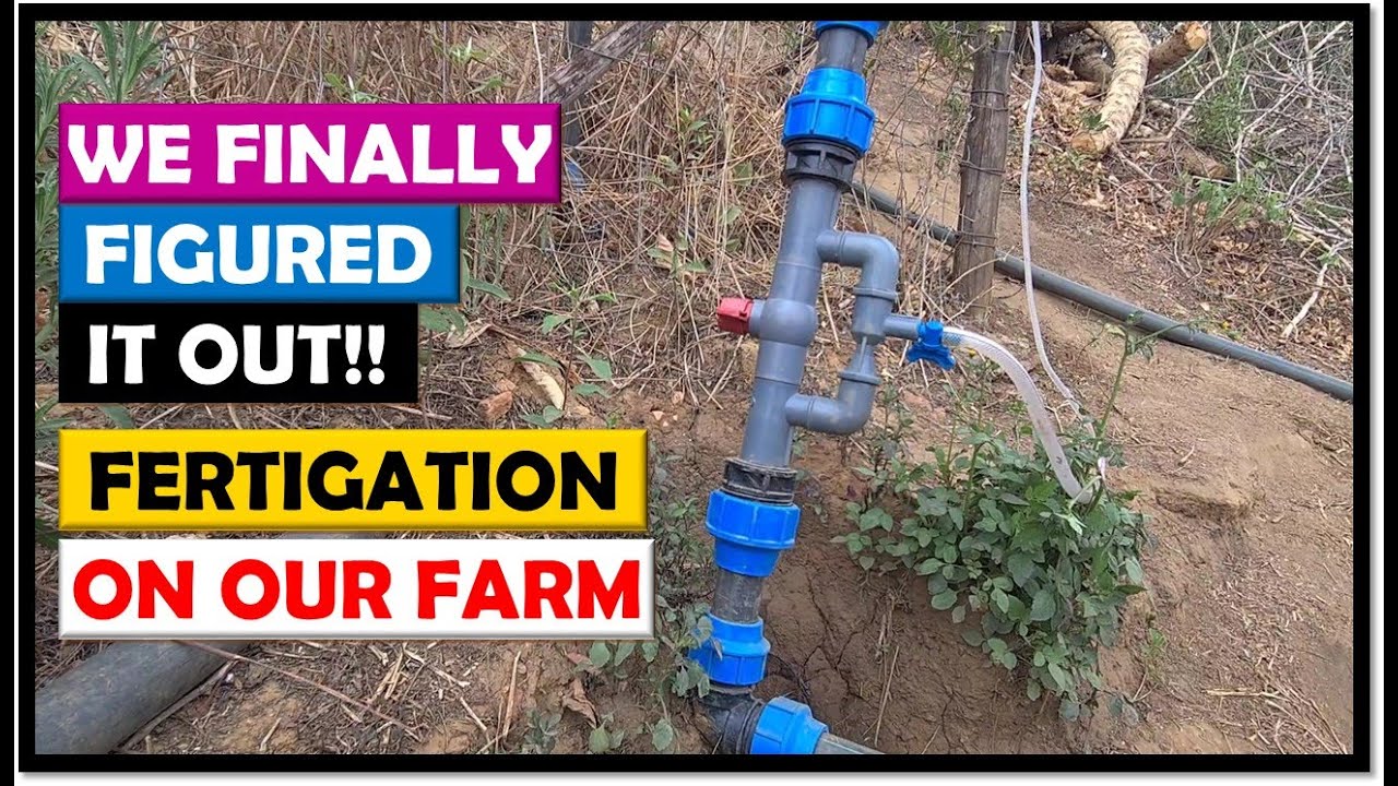 Vegetable Farming in Zambia: How We Use A Venturi Injector To Fertigate ...