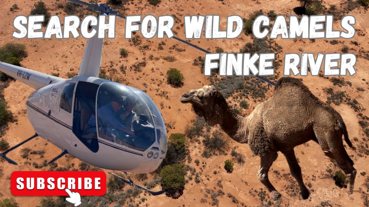 Helicopter flight through the Finke Gorge, Central Australia. Wild ...