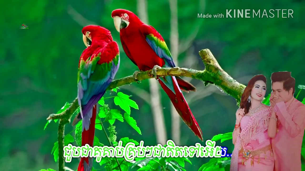 តូចតន់មាសបង ច្រៀងដោយលោក៖កែវ សារ៉ាត់ & ឡុង ស៊ីដា-Toch Ton Meas Bong by ...