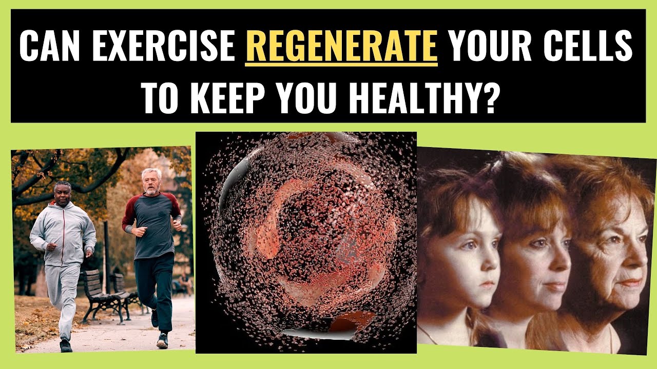 Can Exercise Renew Your Cells? - YouTube