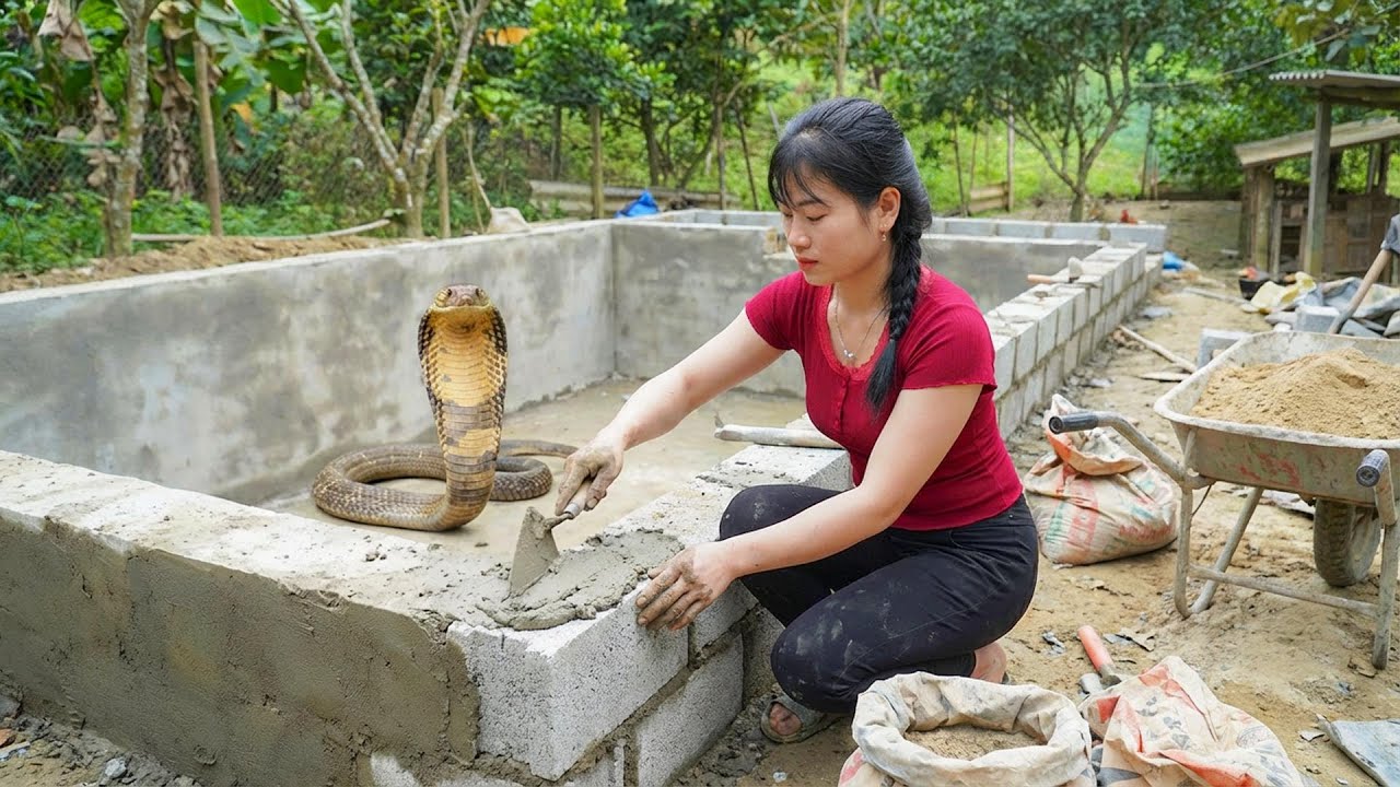 DIY Off-Grid Swimming Pool Build – Brick, Cement & Cobra Encounter ...