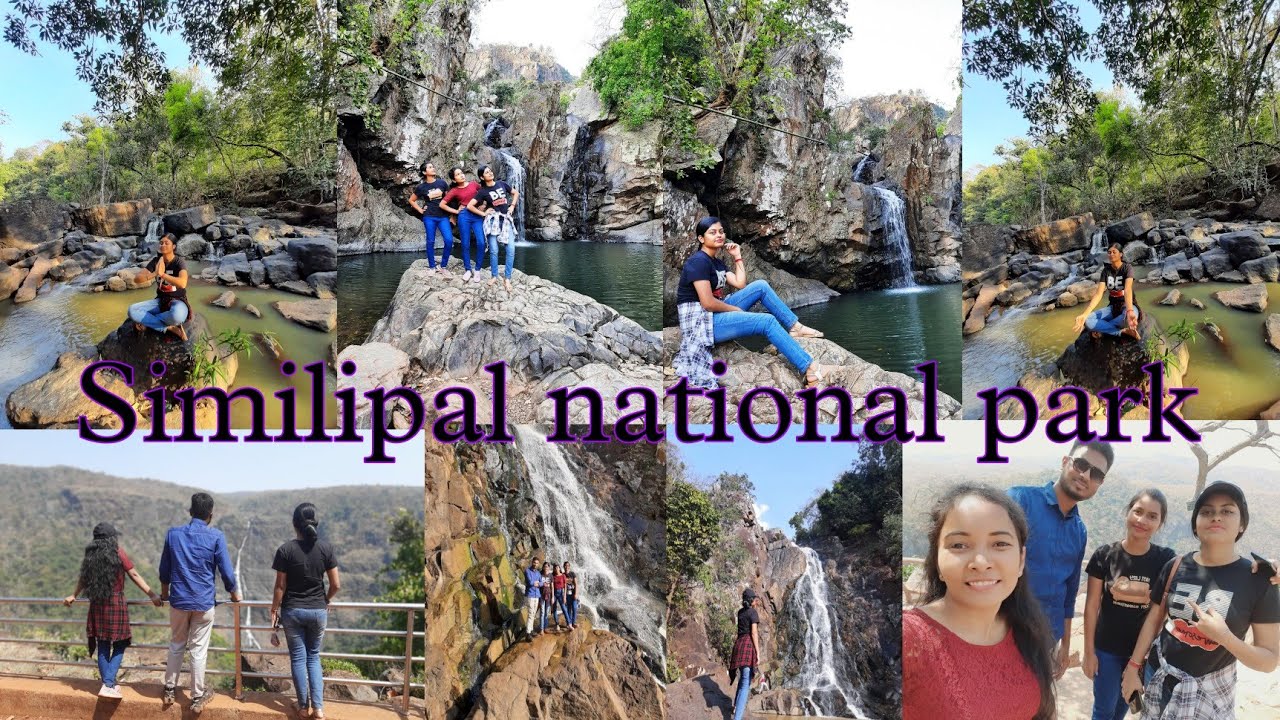 Similipal national park mayurbhanj odisha☀️|similipal forest safari|🌼 ...