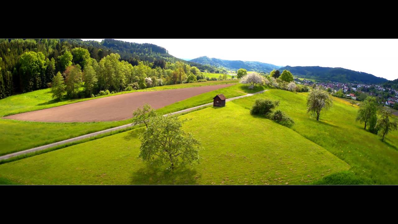 around forest lake (Waldsee Fornsbach) in springtime Schwäbischer Wald ...