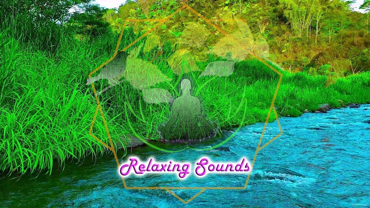 Relaxing Sounds Harmony - Instrumental and Calm Water Sound for Deep ...