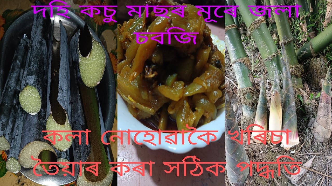 Dintu ..kenedore par korilu ..kot golu //dohi kosu ..masor mure jola ...