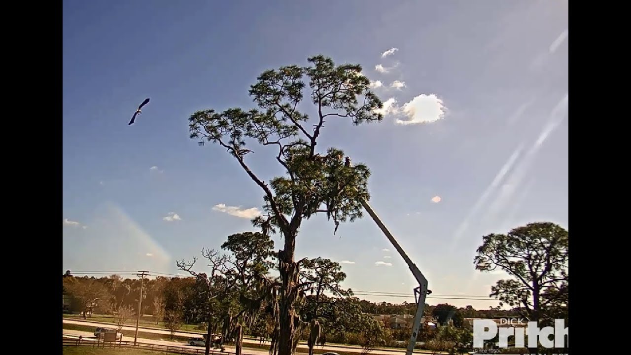 SWFL Eagles ~ CROW Arrives To Nest With Bucket Truck ~ Retrieves E14's ...