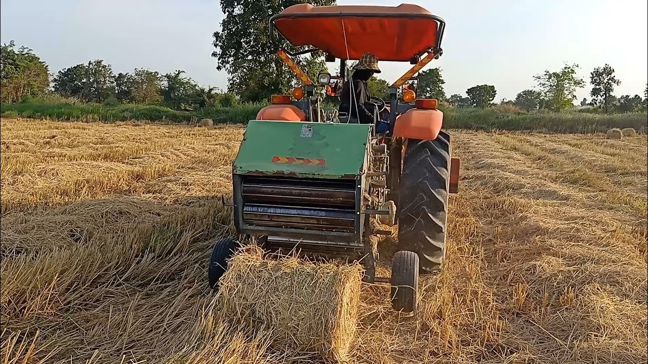 Farmer Kubota Gather rice in the field Mu5702s - YouTube
