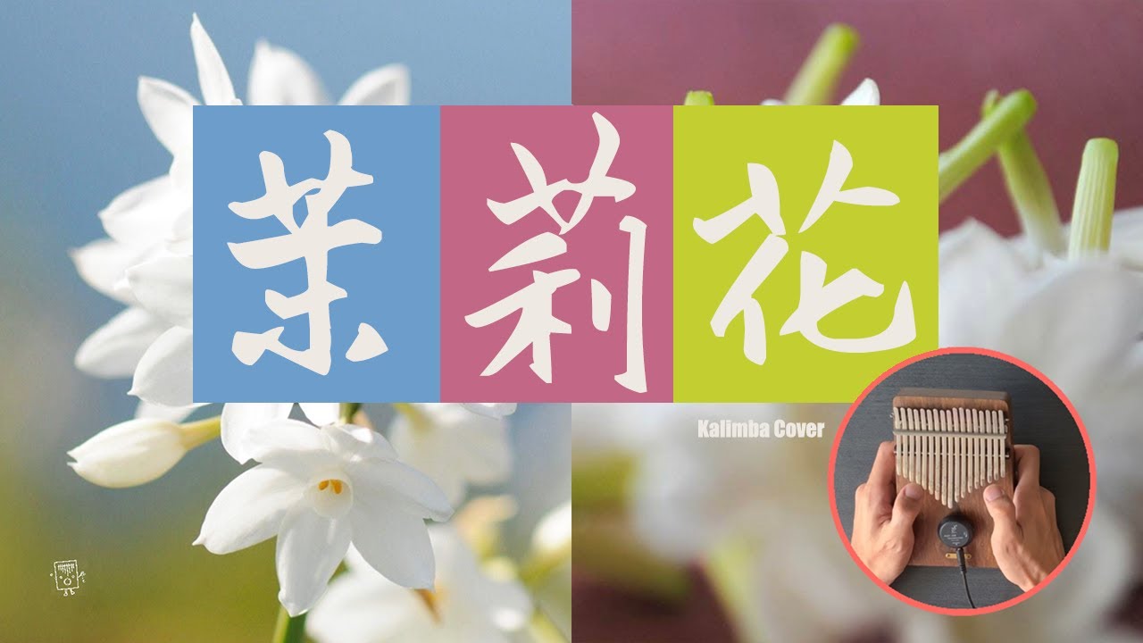 【茉莉花】Mo Li Hua 💮 Jasmine Flower | Chinese Songs | 拇指琴 Kalimba Cover ...