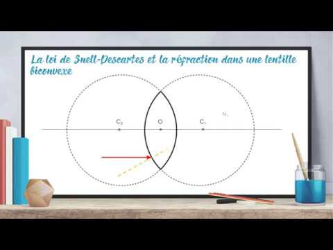 Les types de lentilles, les points principaux et la réfraction dans une ...