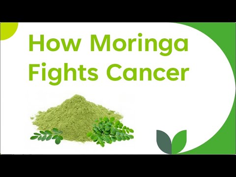 How Moringa Fights Cancer - YouTube