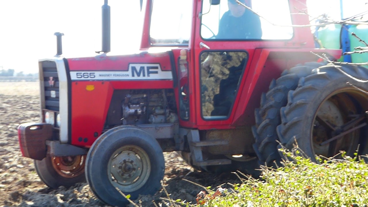 MASSEY FERGUSON 565 - YouTube