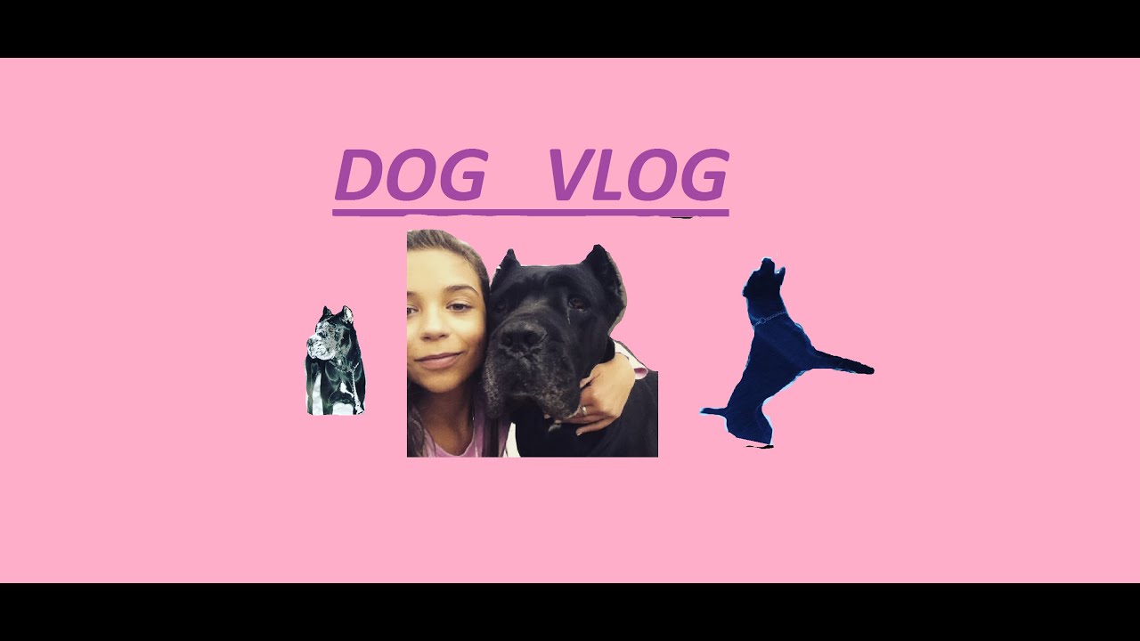 мой первый VLOG/ DOG VLOG/дача - YouTube