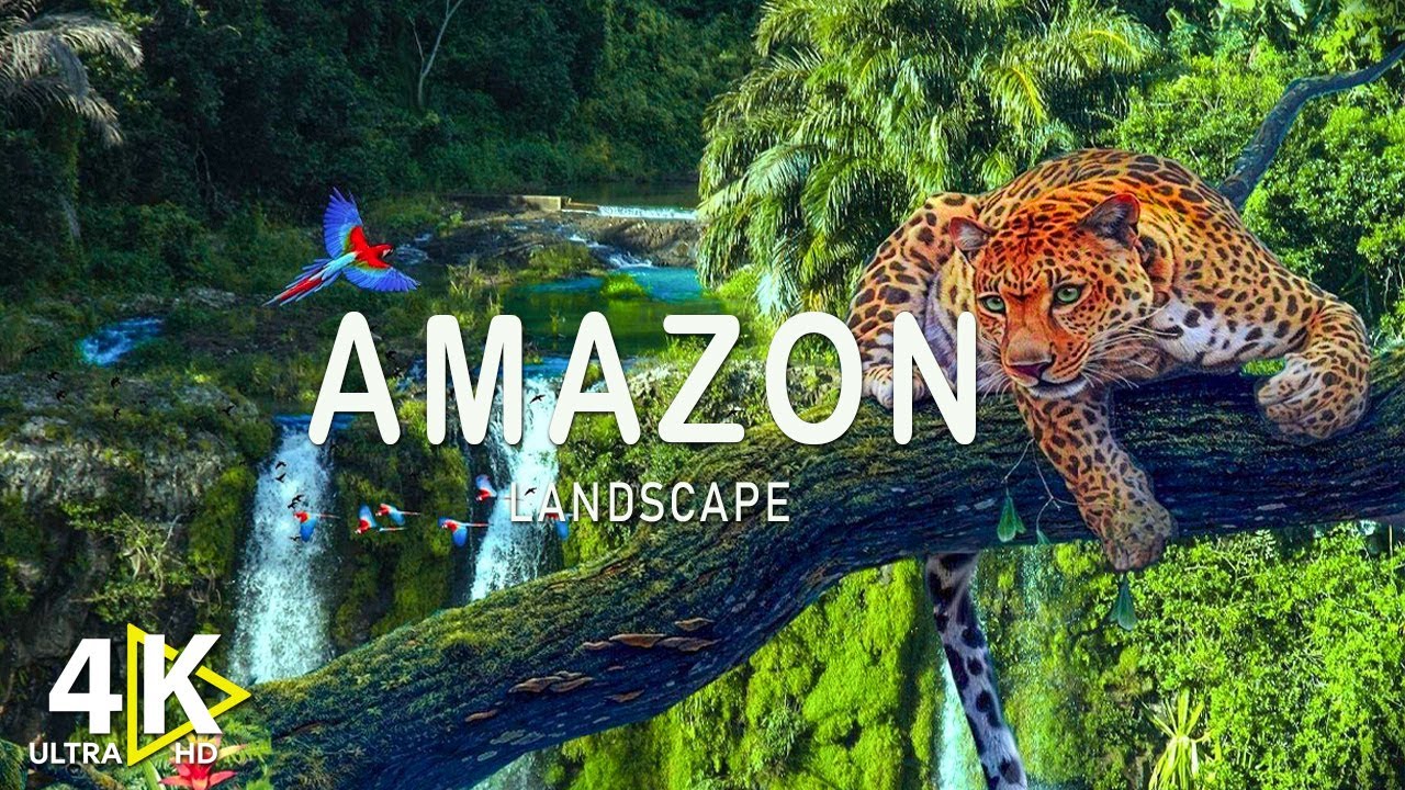 AMAZON (UHD) Beautiful Nature Scenery With Relaxing Music - 4K VIDEO ...