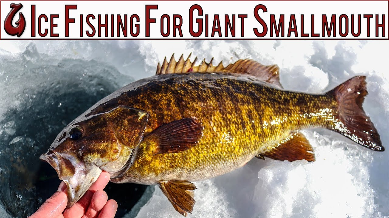 4LB SMALLMOUTH Fishing Late Ice in NH (INCREDIBLE) + Endless Monster ...
