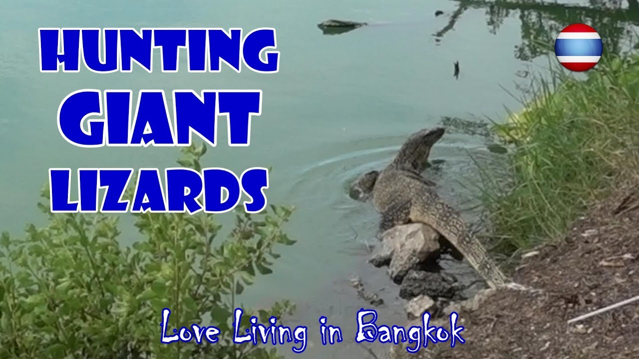 Thai Village Bangkok Drowning in a Sea of Plastic & Lizards - YouTube