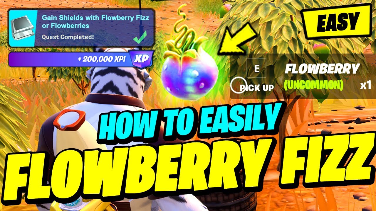 How to EASILY Gain Shields with Flowberry Fizz or Flowberries ...