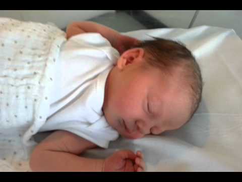 Tilly, one day old - YouTube